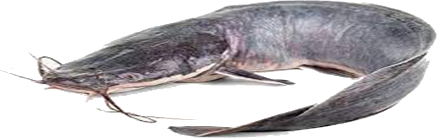 Okiemute Farms Limited